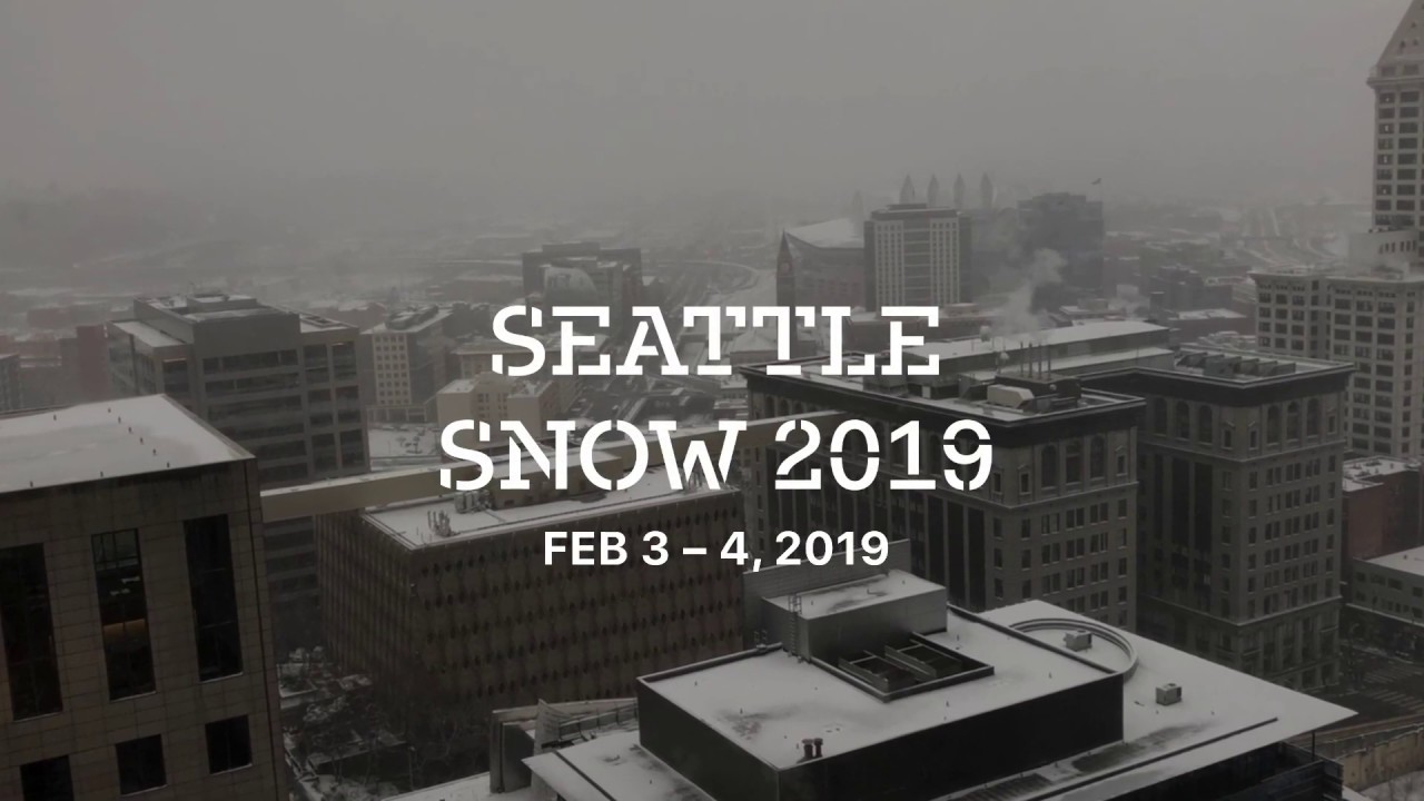 Seattle Snow Storm 2019 Feb 3-4 - YouTube