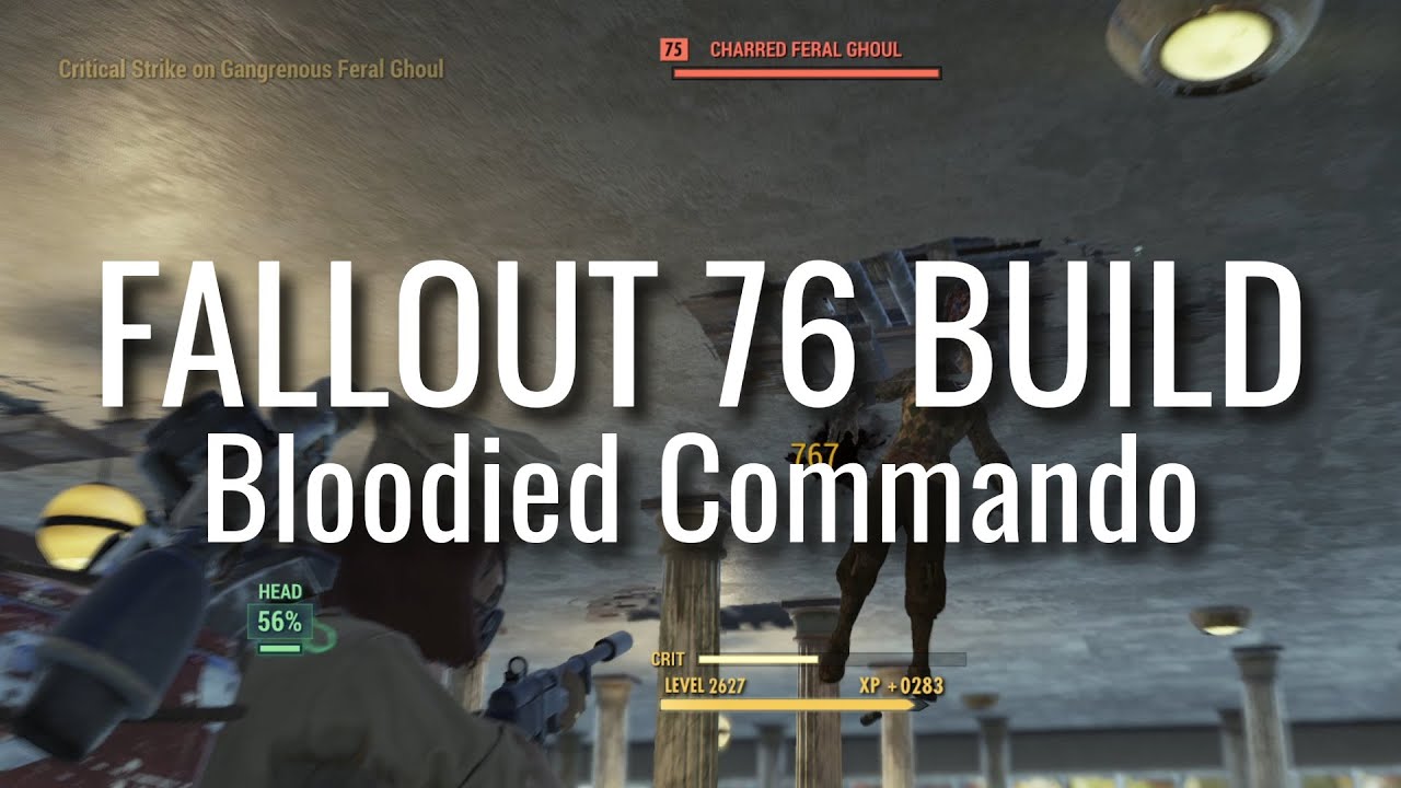 My Bloodied Commando Build (May 2024) | Fallout 76 - YouTube