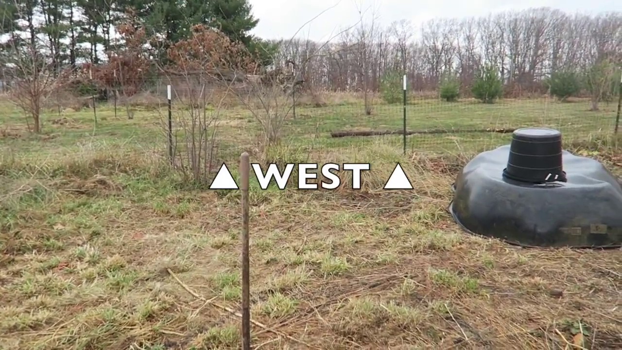 Hand digging a pond and using material from pond to build a raised bed ...