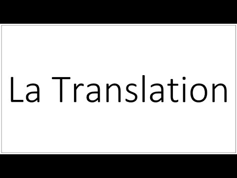 La Translation - YouTube
