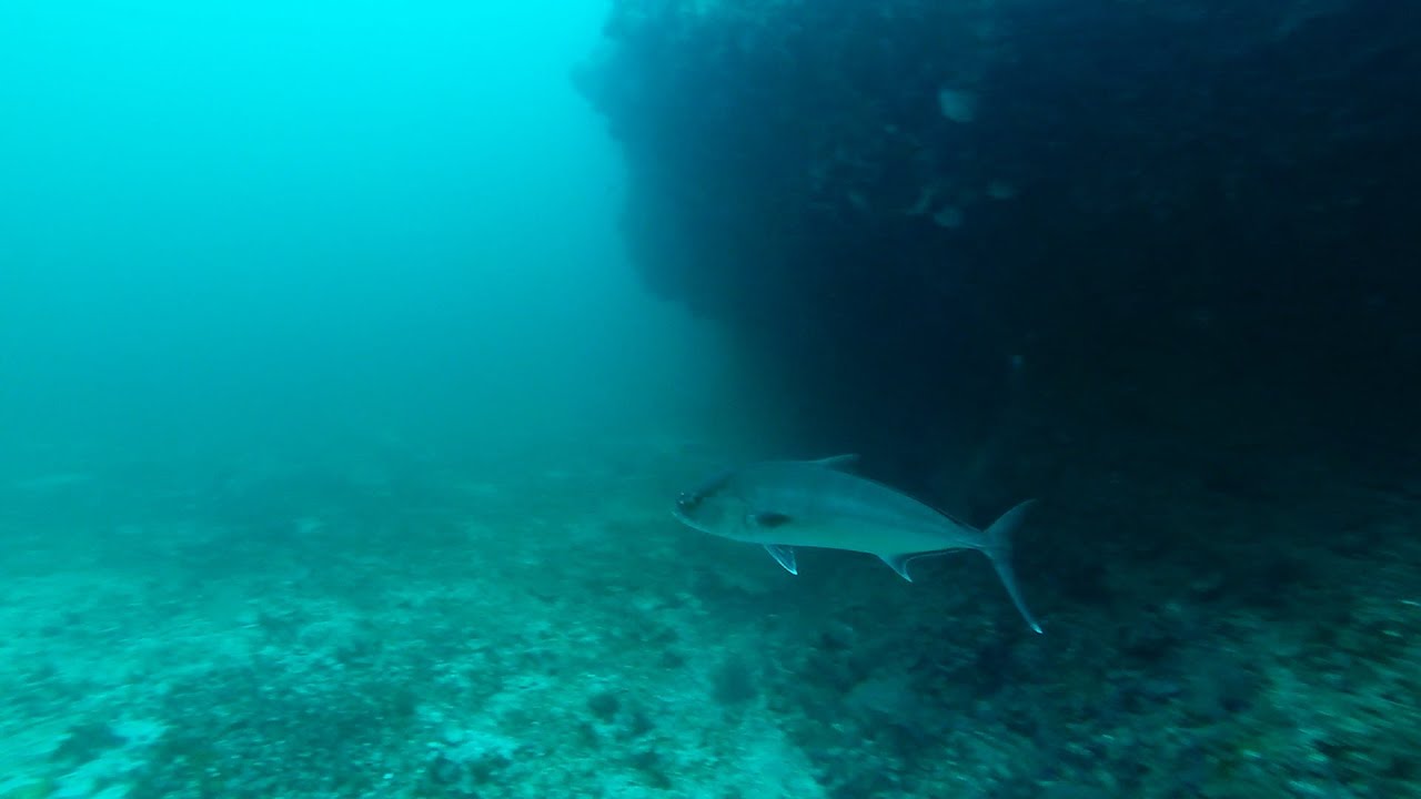 "The Elbow" Spearfishing Tour- 90 Miles out in Gulf of Mexico - YouTube
