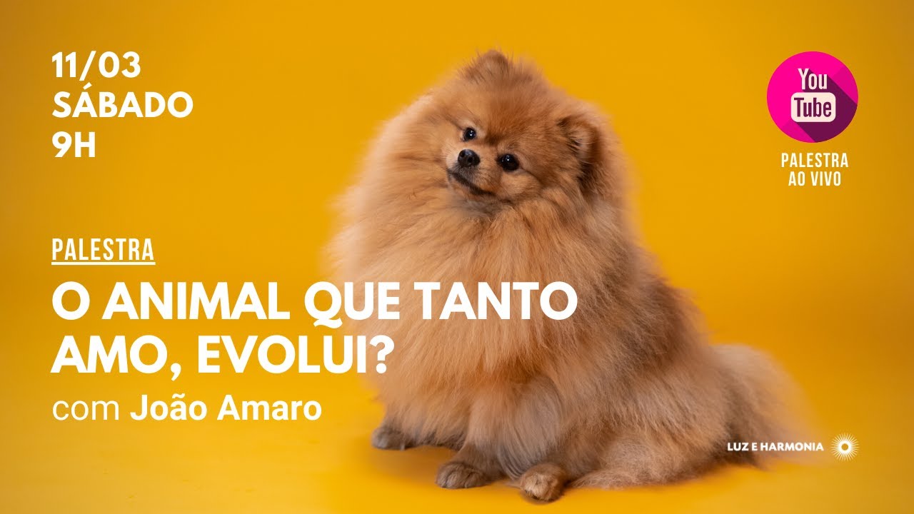 11/03 | 9h | Palestra: O animal que tanto amo, evolui?, com João Amaro ...