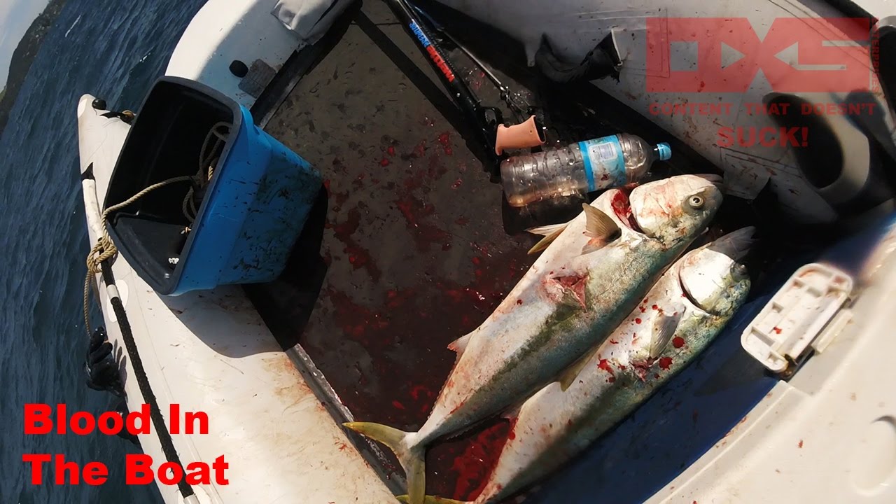 Blood In The Boat - YouTube