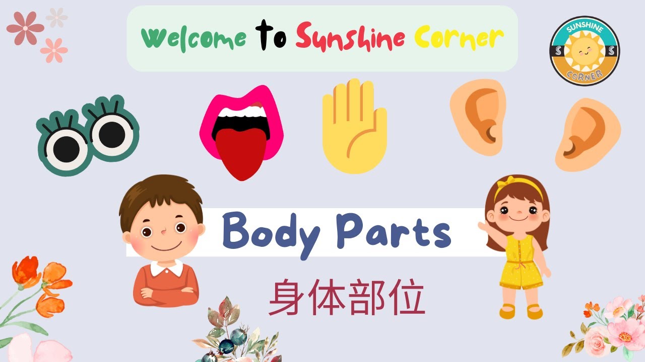 Learn Body Parts in mandarin Chinese for Toddlers, Kids and Beginner ...