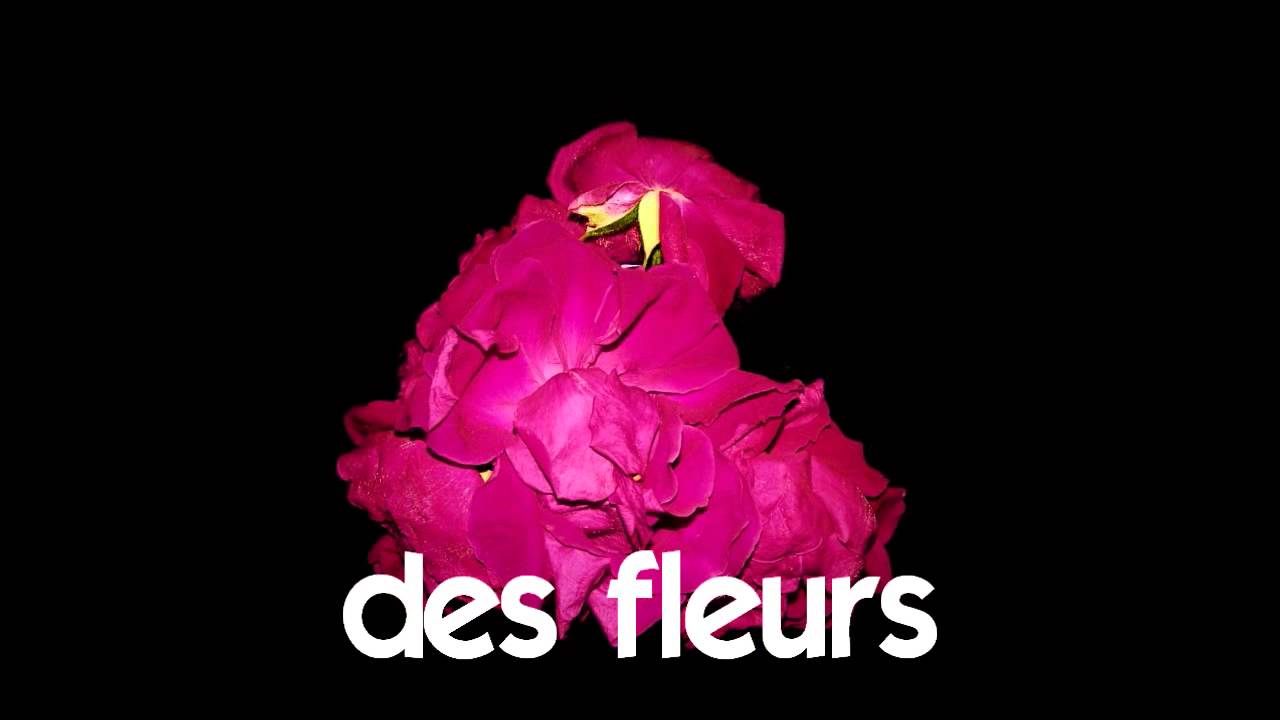 Aprendiendo vocabulario en francés # des fleurs - YouTube