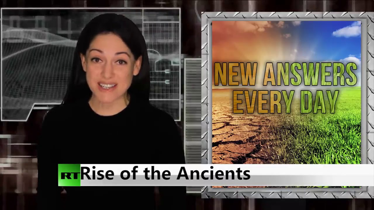 Scientists Plant Clones Of Ancient Giant Redwoods - YouTube