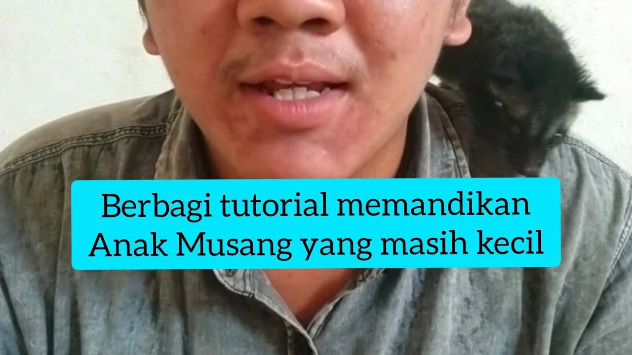 memandikan anak musang yng masih kecil - YouTube