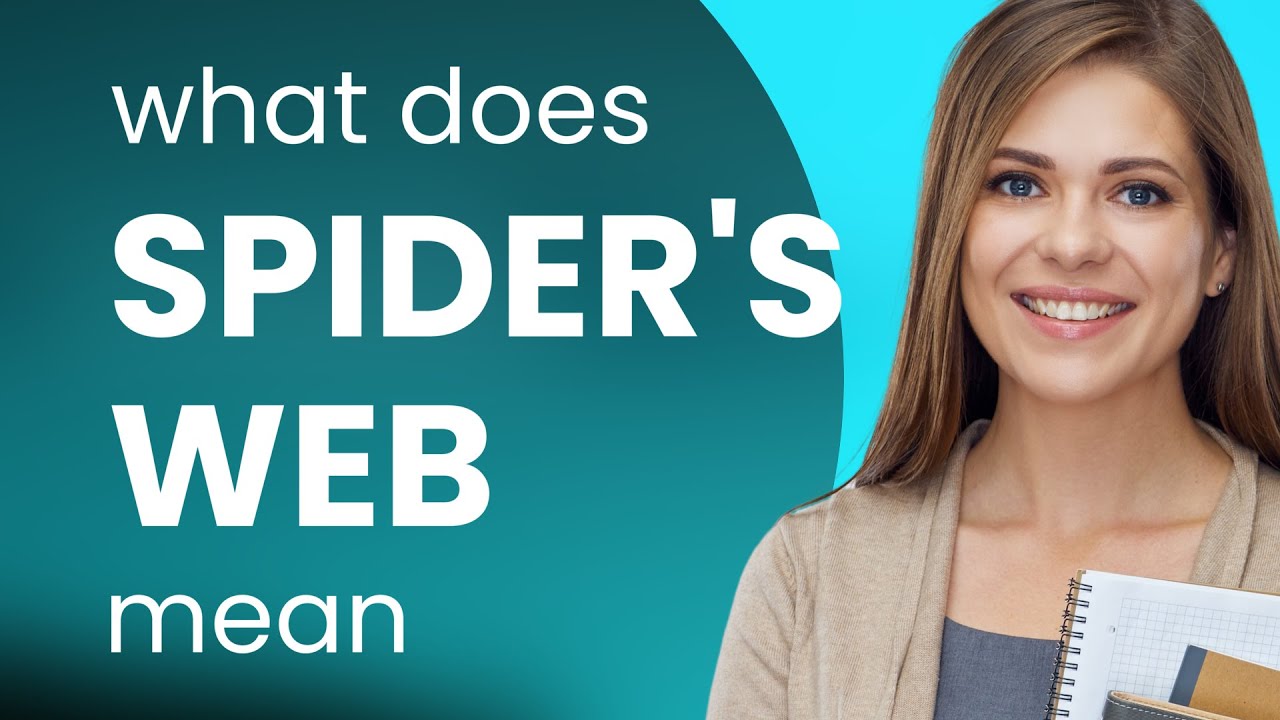 Spider's web • SPIDER'S WEB meaning - YouTube