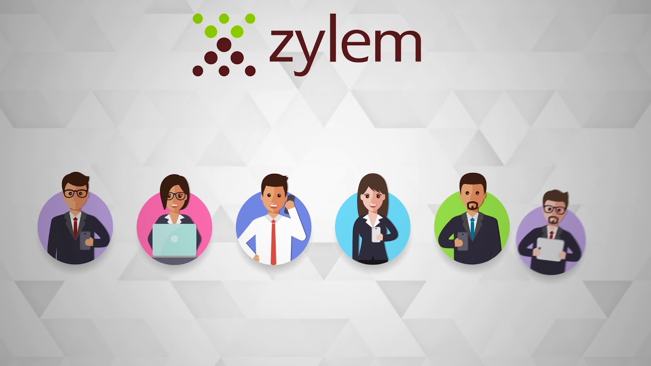 Let Your Business Grow with the Help of Zylem MIS Solutions - YouTube