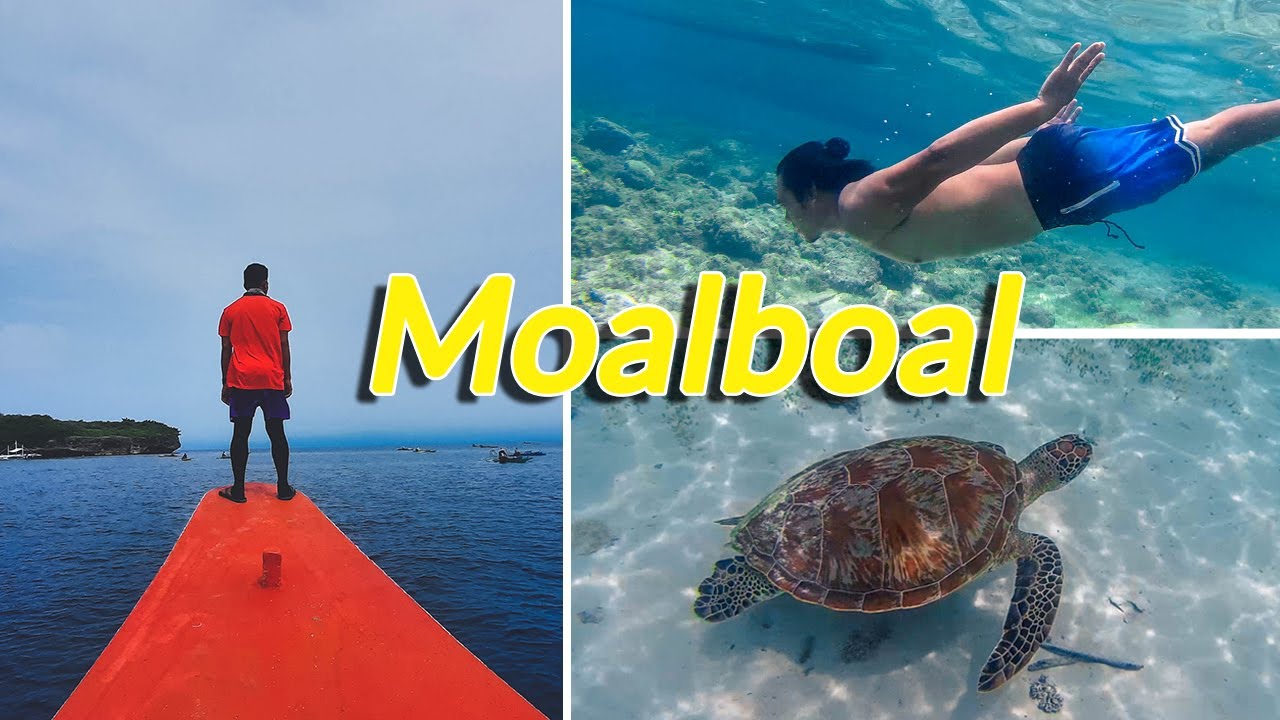 ONE DAY TRIP IN MOALBOAL - EXPERIENCE ISLAND HOPPING - YouTube