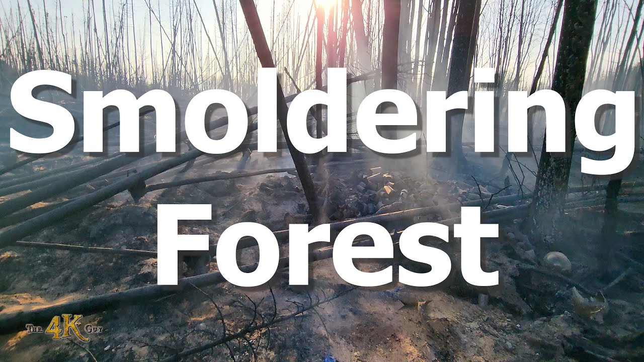 Alberta: Eerie sight of a forest fire aftermath seen thru hazy sunrays 5-14-2023 - YouTube