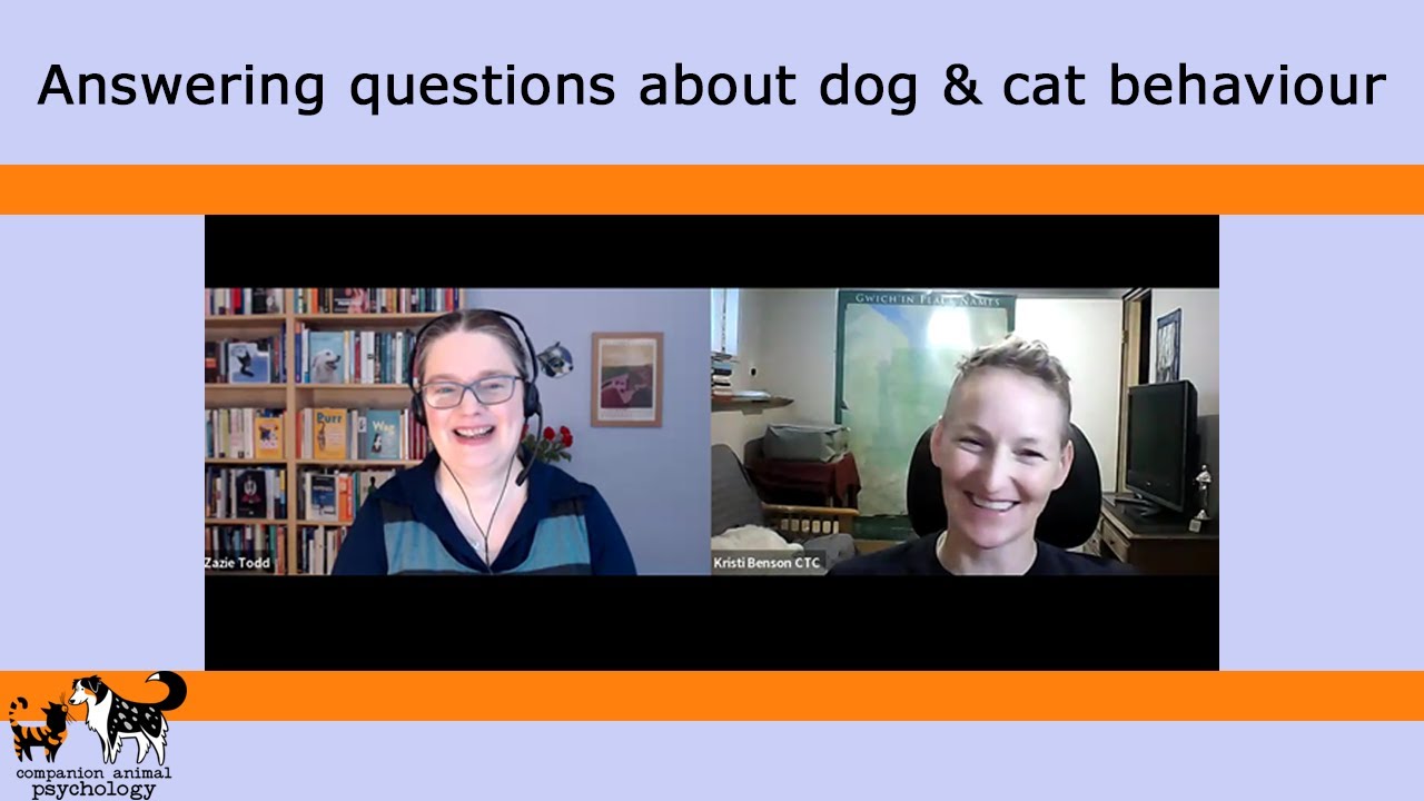 Answering questions about dog and cat behaviour: Enrichment, barking ...