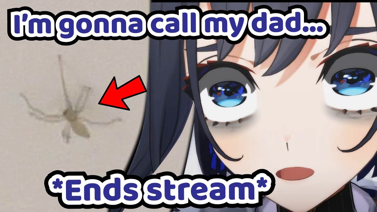 Kronii Decided to End Her Stream Because of a Spider AGAIN - YouTube