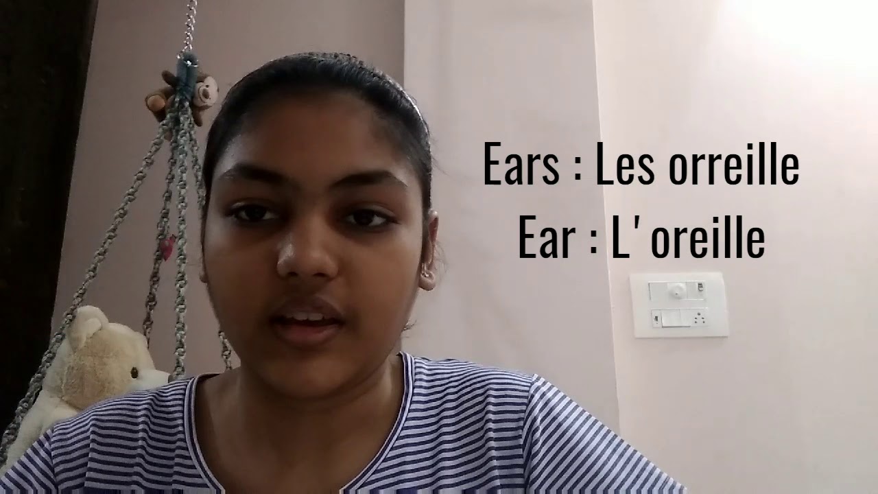 Learn PARTS OF THE BODY In French YouTube Learn PARTS OF THE BODY In French YouTube