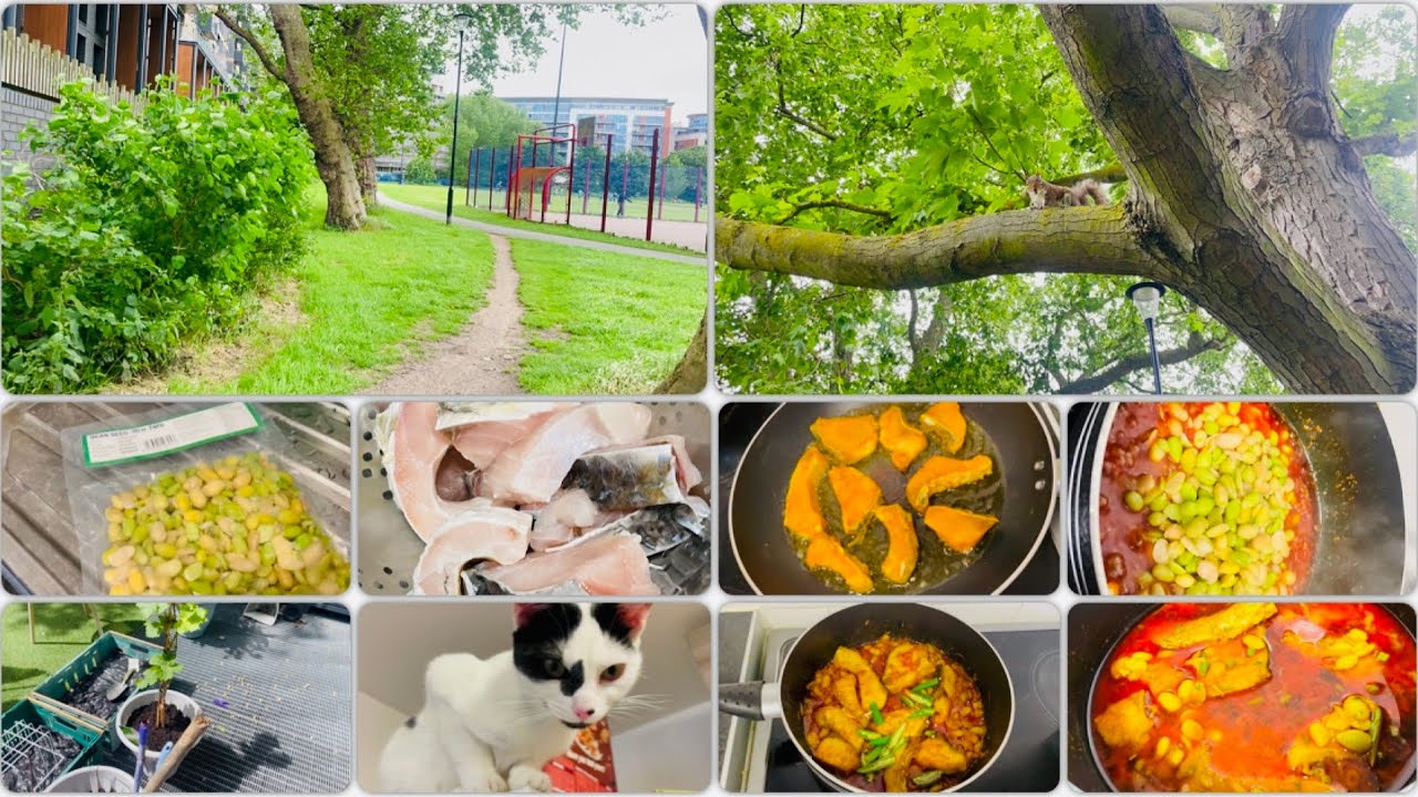 Bangladeshi Style Frozen Uri Bichi With Rau Fish Curry Recipe/উরি বিচি ...