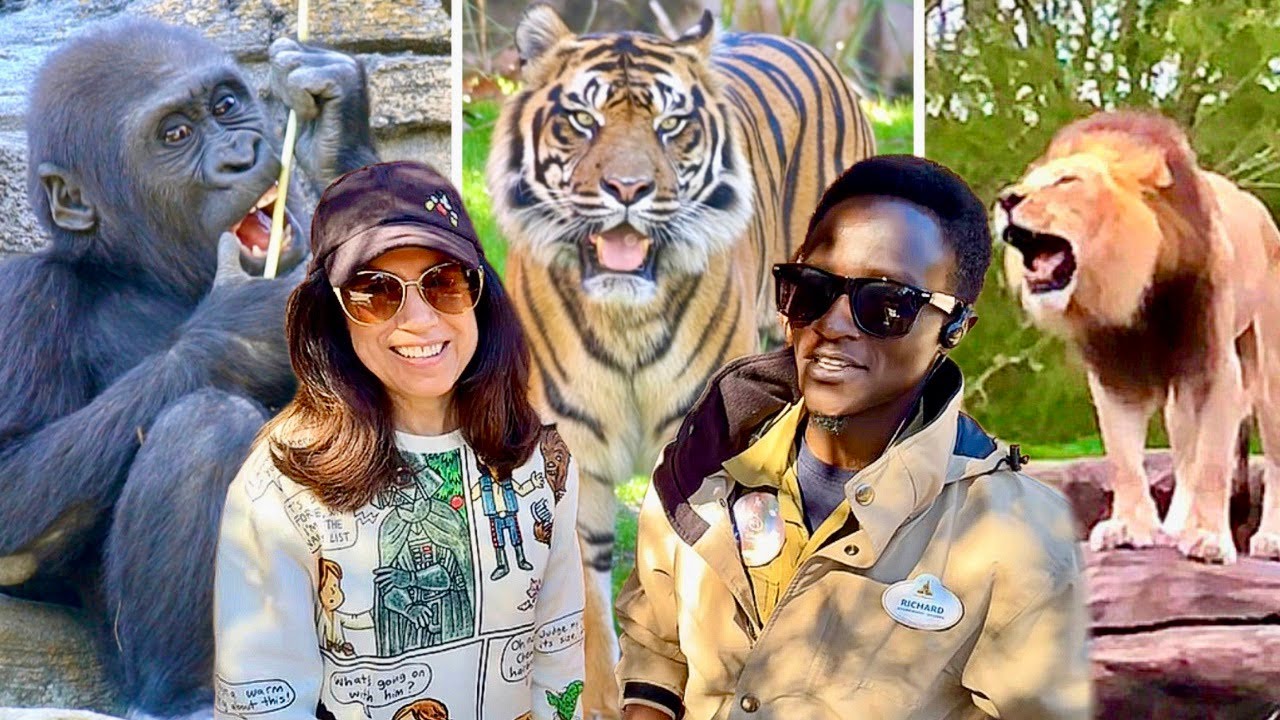 Disney Animal Kingdom Safari with Rare Footage of Baby Gorilla’s ...