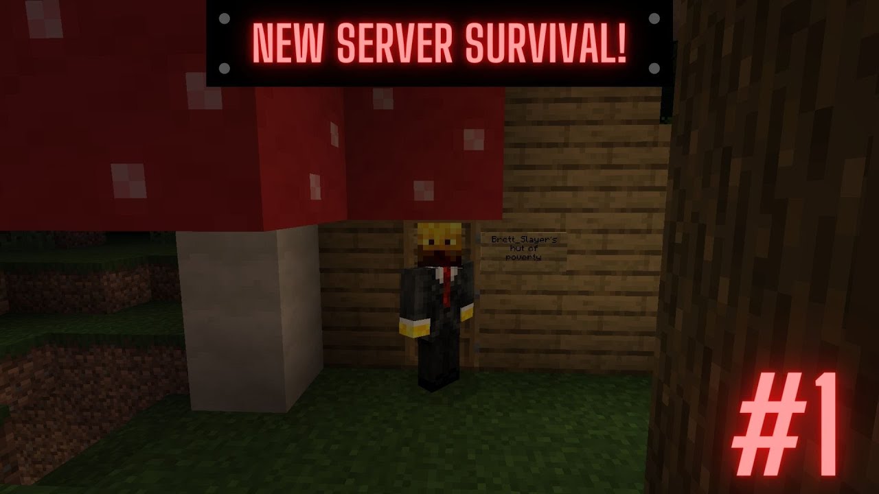 Multiplayer Minecraft - New Server Survival! - YouTube