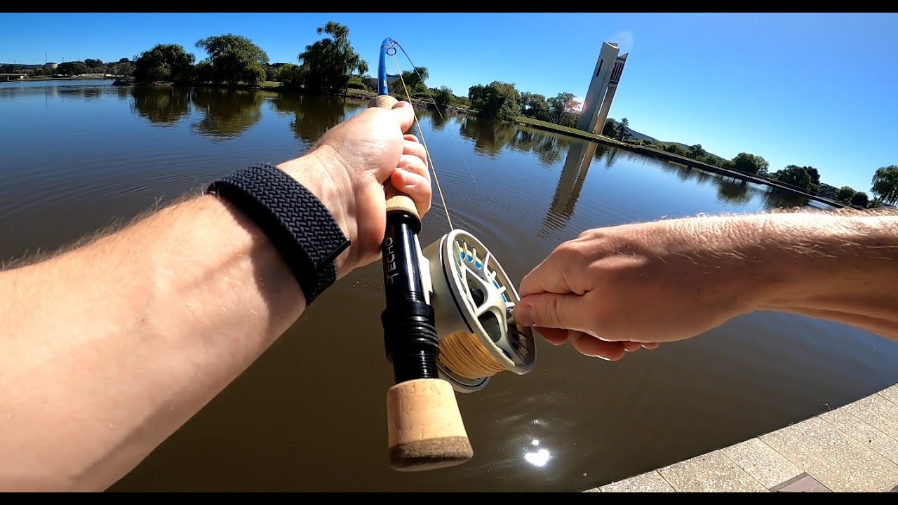 Fly Fishing for CARP on Lake Burley Griffin - YouTube