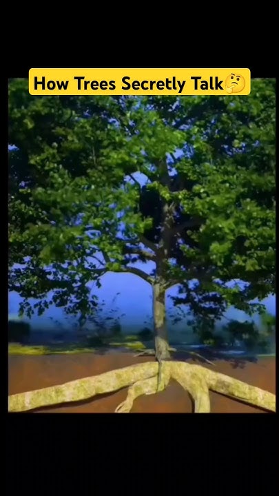 How Trees Secretly Talk🤔😱#ytshorts #facts #short #factsdaily #tree # ...