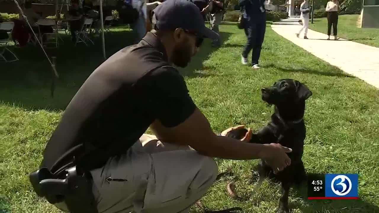 K9 duo from Brown University Police - YouTube