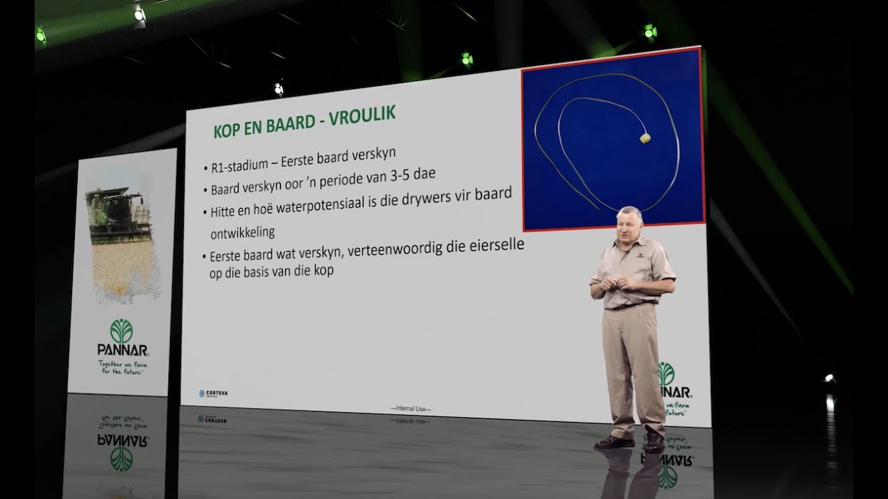 Bestuiwing en Bevrugting van Mielies (Deel 2) - YouTube