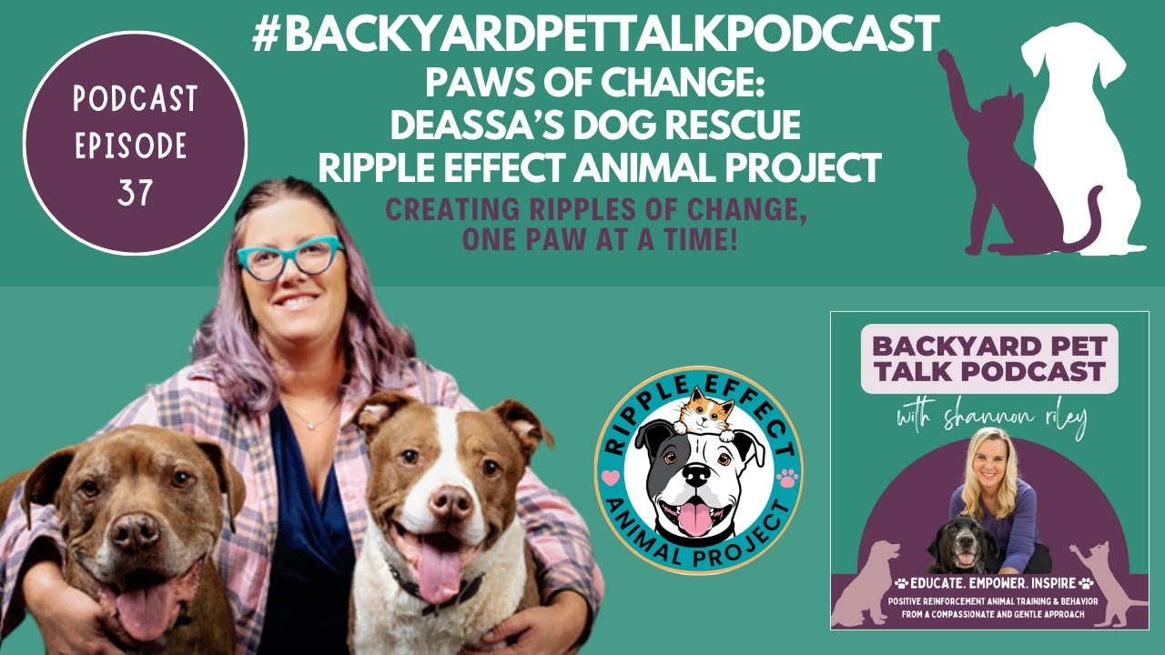 #backyardpettalkpodcast Paws of Change: Daessa’s Dog Rescue, Ripple ...