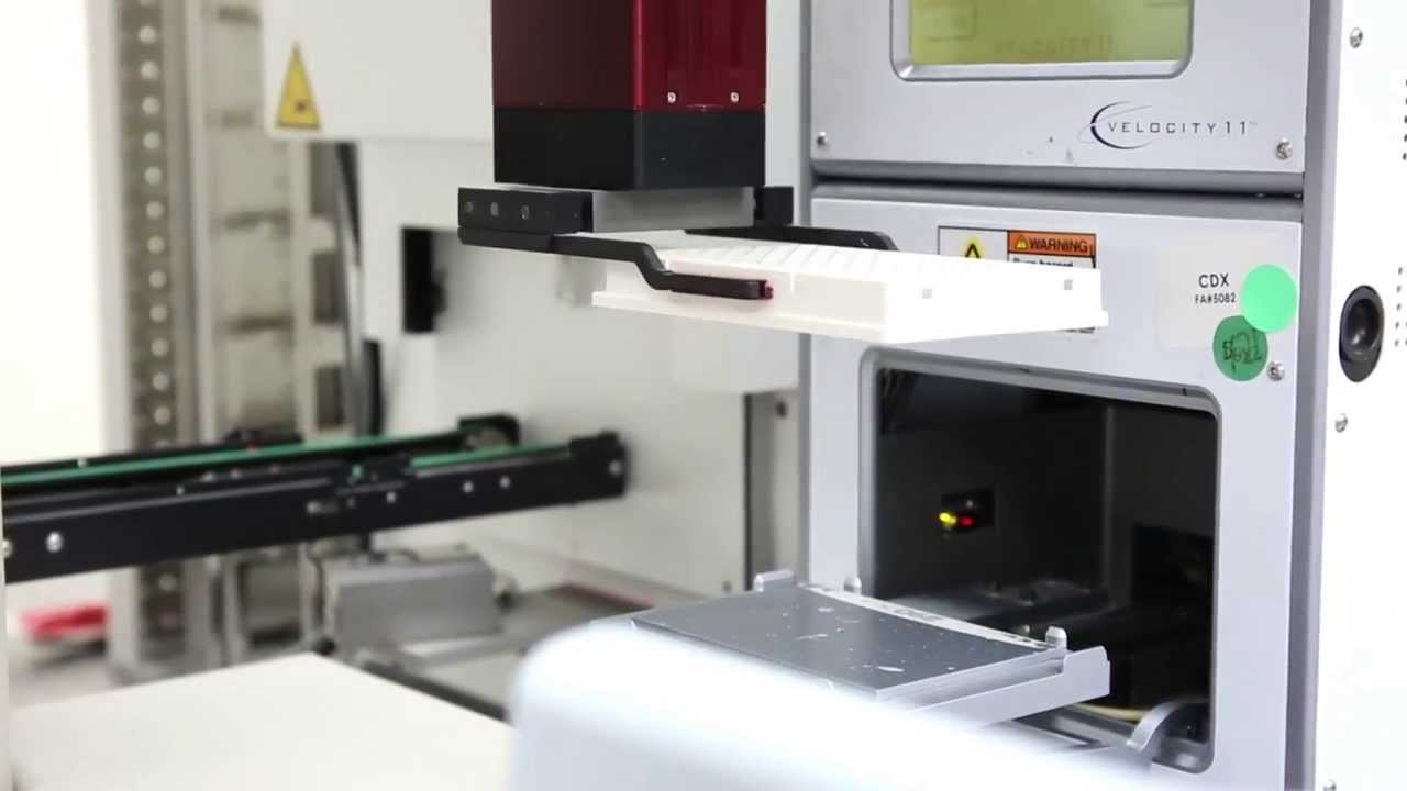 Codexis: Our Technology - YouTube