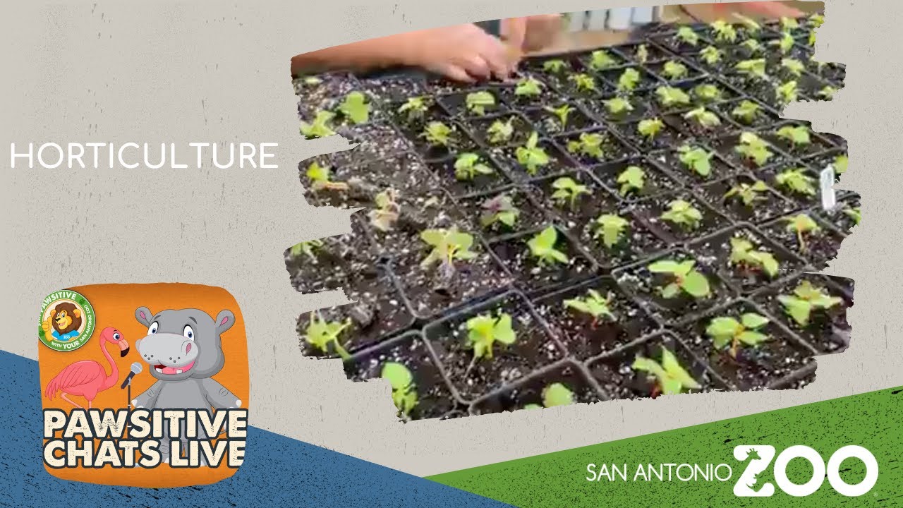 Horticulture - YouTube