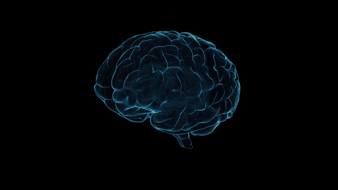 Inside The Mind - YouTube