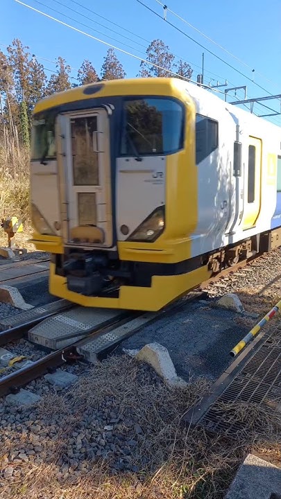 外房線が房総特急E257-500番台に支配されました(特急わかしおE257-500番台 NB05) (回送E257-500番台NB03)#e257系500番台 #鉄道 #わかしお #回送列車 ...