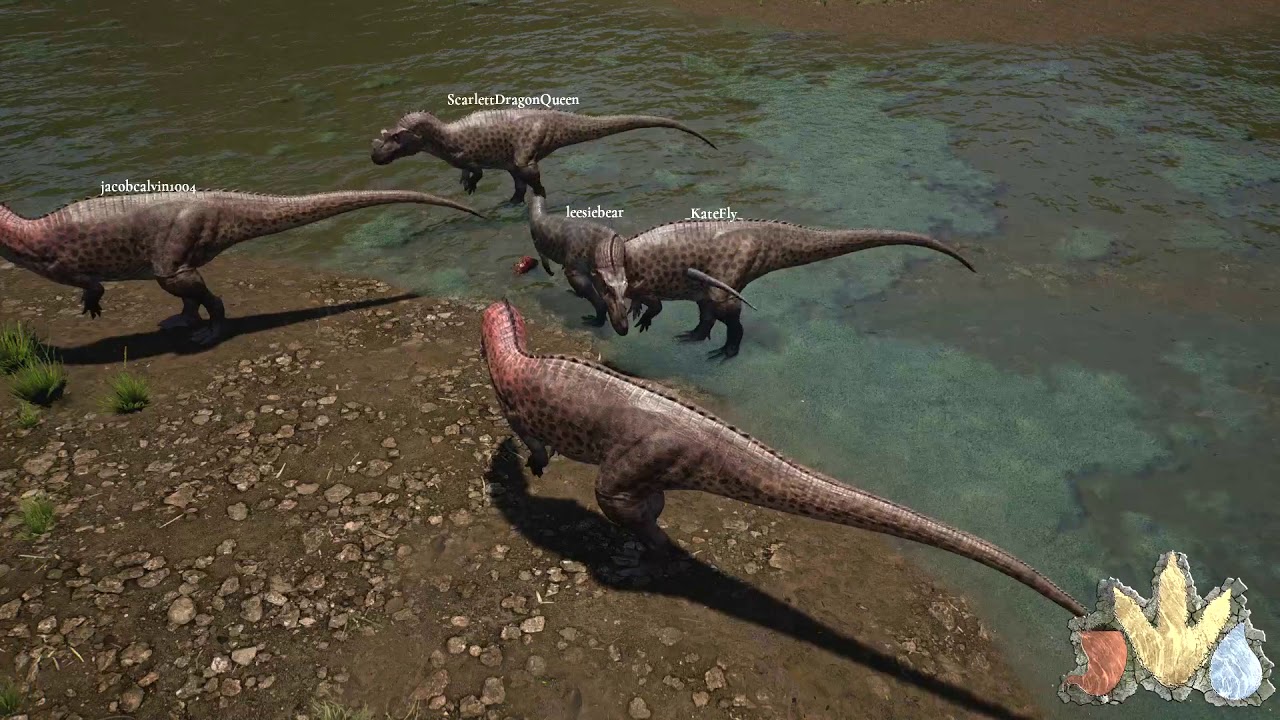 THE ISLE | CERATO PACK | Cerato vs. Stego= NO GO! - YouTube