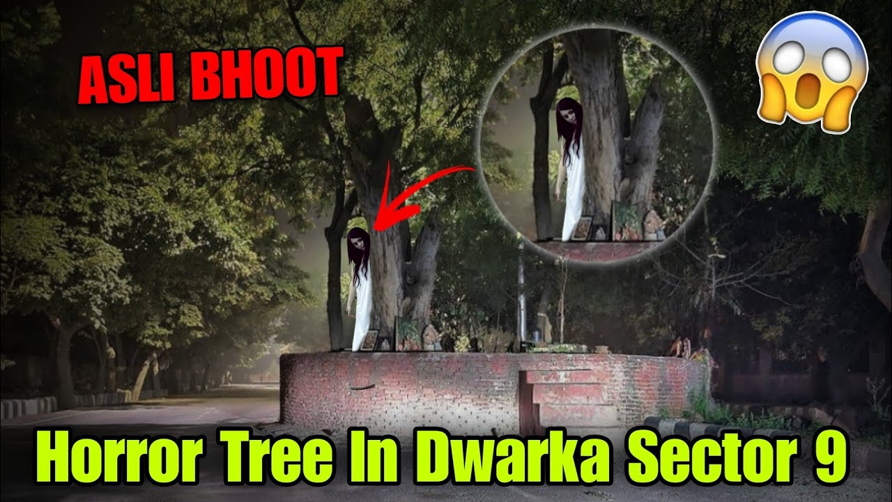 India's Most Haunted Place | Dwarka Sector 9 ghost tree 😰 | real story ...