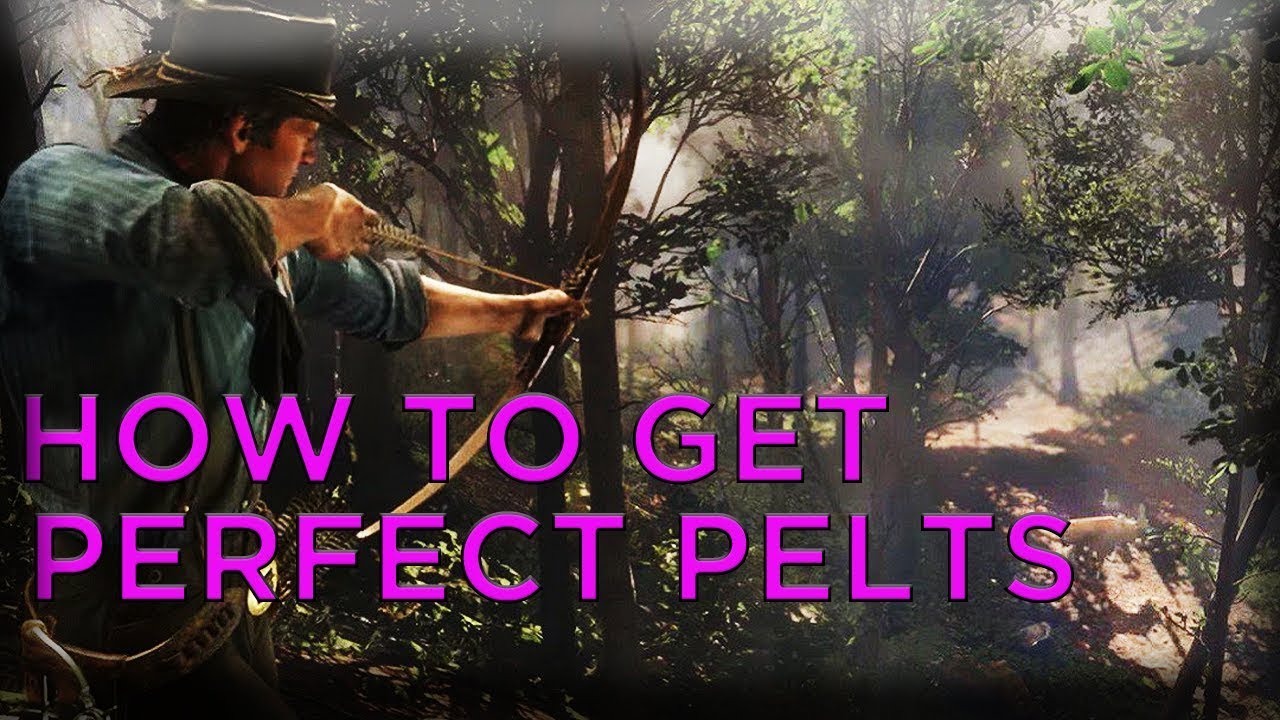 how to get a perfect pelt in red dead redemption 2 - YouTube