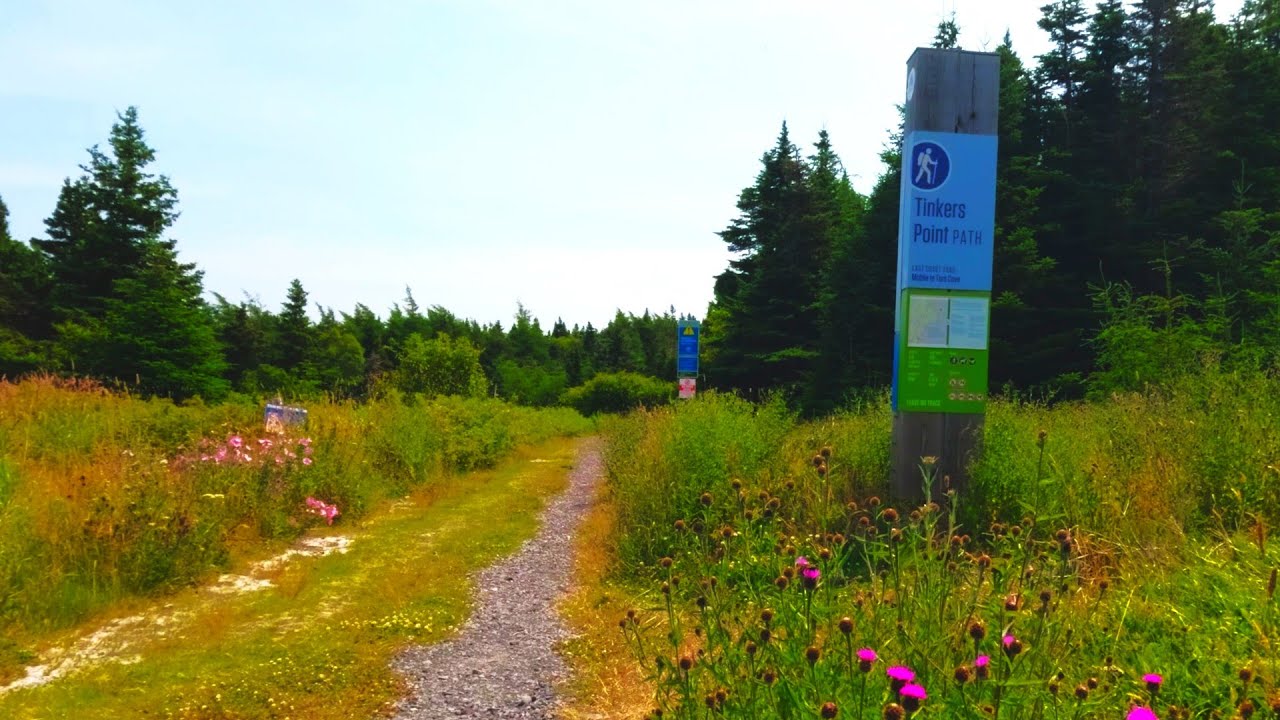 Tinkers Path Trail | Soothing Drone & GoPro Cinematic | East Coast ...