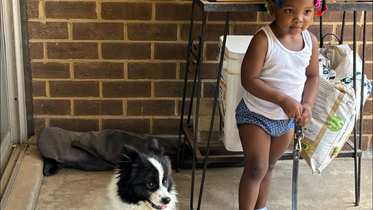 Maziah is playing with my train and Tank. - YouTube