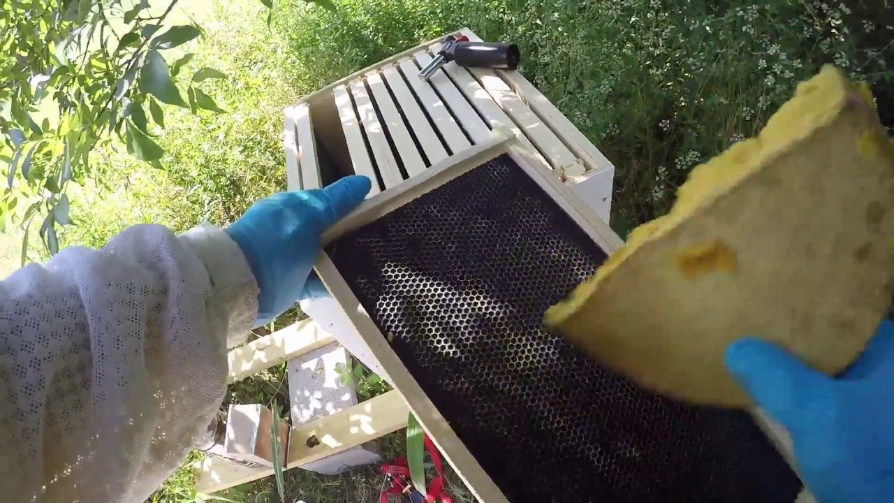 Waxing foundation in frames. Adding more wax. Beginning Beekeeping in ...