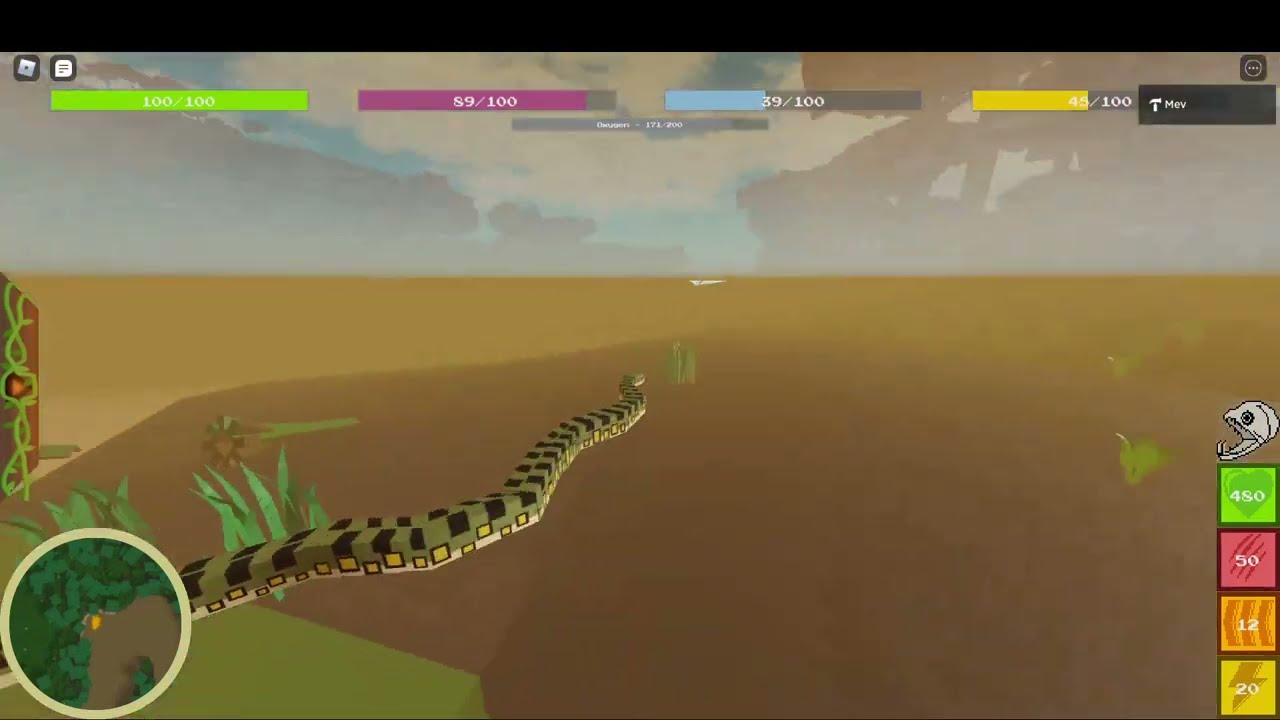 Amazon Ascension | Anaconda Test - YouTube