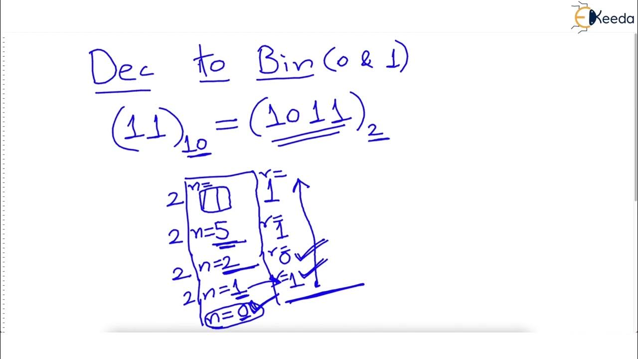 Recursive Function for Decimal to Binary | Data Structure Using C - YouTube