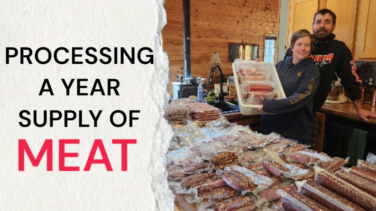 Processing A Year Supply Of Meat Homestead Vlog - YouTube