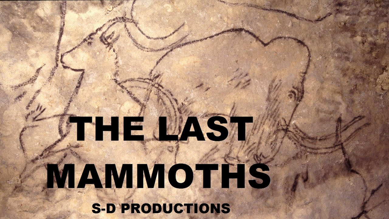 The Last Mammoths of Wrangel Island - Extinct Life - YouTube