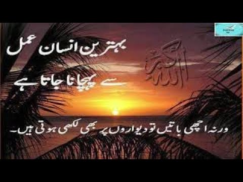 Sunehri Batain In Urdu | Aqwal E Zareen | Achi Batain | Anmol Moti ...