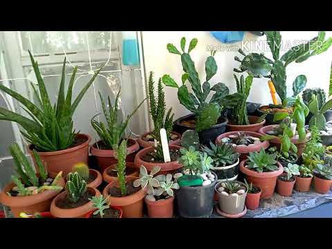 Ailenin yeni üyeleri/çok sevinçliyim