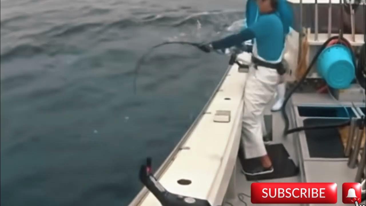 Pemancing ini hampir di tarik ikan raksasa k dalam laut - YouTube