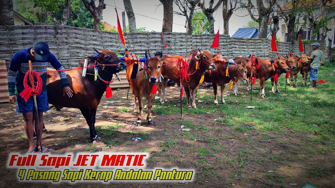 Latihan team JET MATIC menjelang event terdekat - YouTube