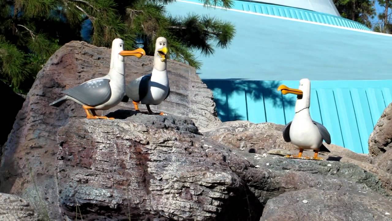 i gabbiani di Nemo (Mio) - Nemo seagulls Mine - YouTube