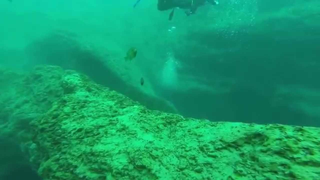 Scuba Diving - Vortex Spring - Ponce de Leon, Florida - YouTube
