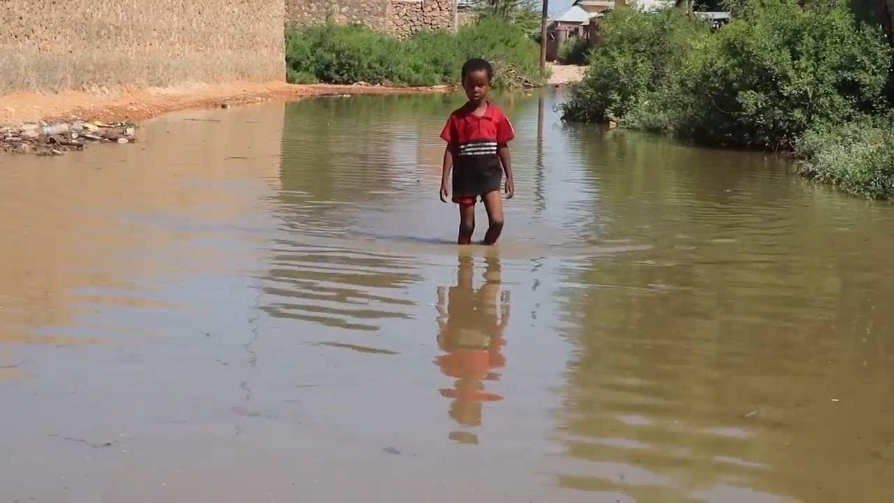 Somali town severely flooded after Shebelle river bursts its banks amid ...