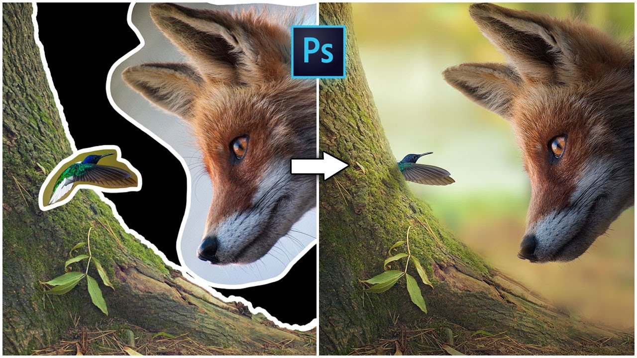 Animal Themed Composition Photoshop 2020 Tutorial - YouTube