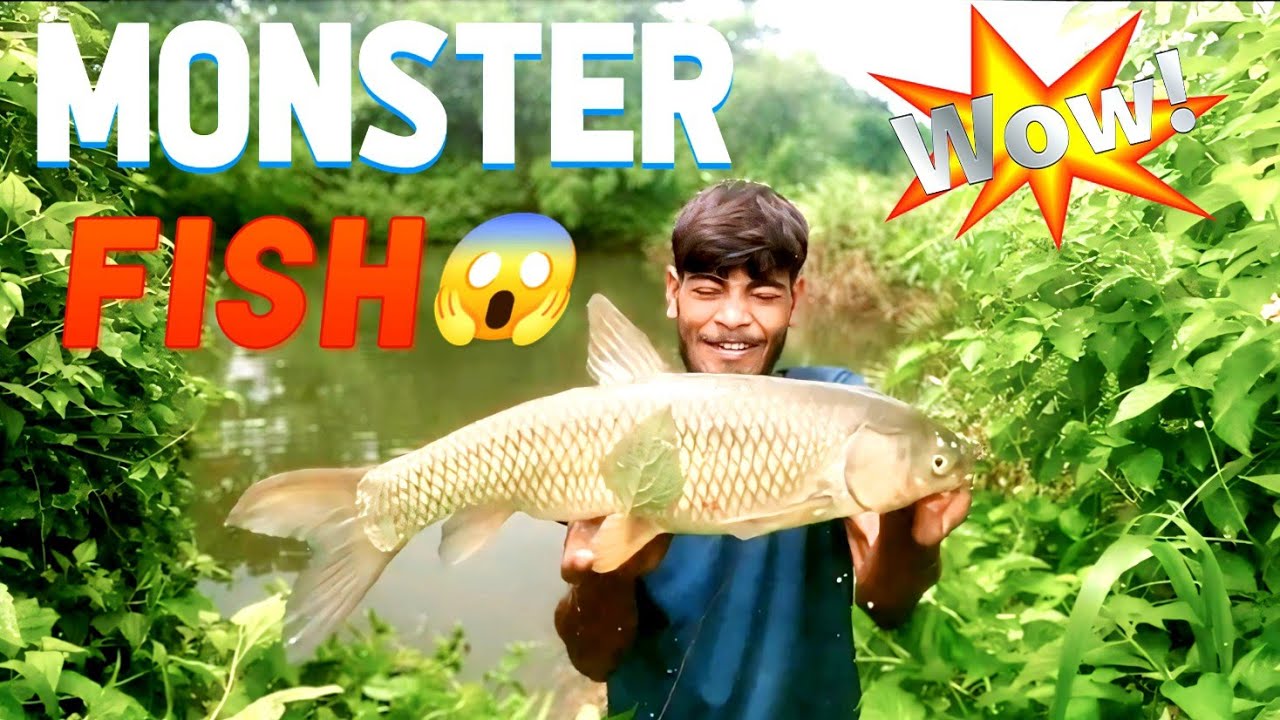 Hook fishing se pakda 4 kg ka bada fish 😱 🎣 | A.P-DAILY BLOG - YouTube