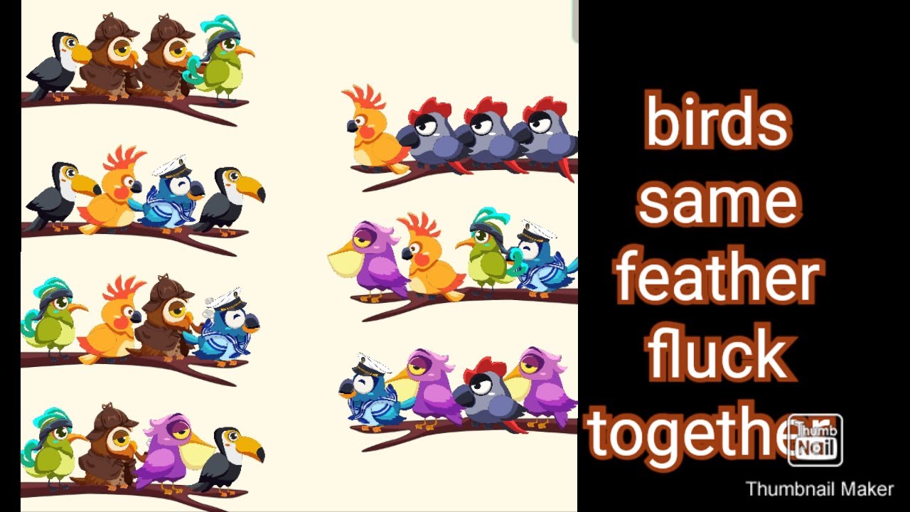 BIRDS SAME FEATHER,FLUCK TOGETHER - YouTube